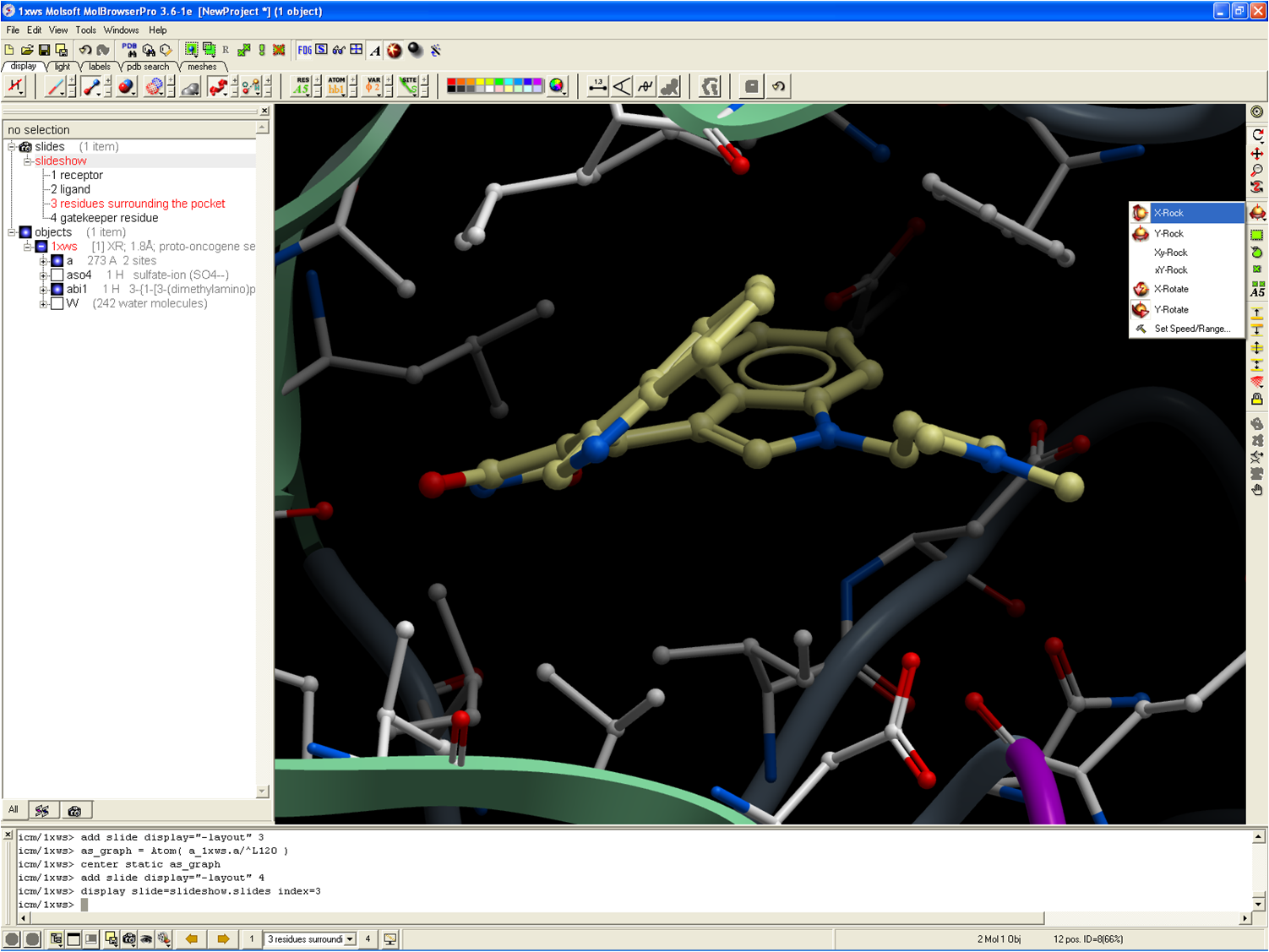 Molsoft L L C Combined Views Animations And Slides US Patent No 7 880 738 